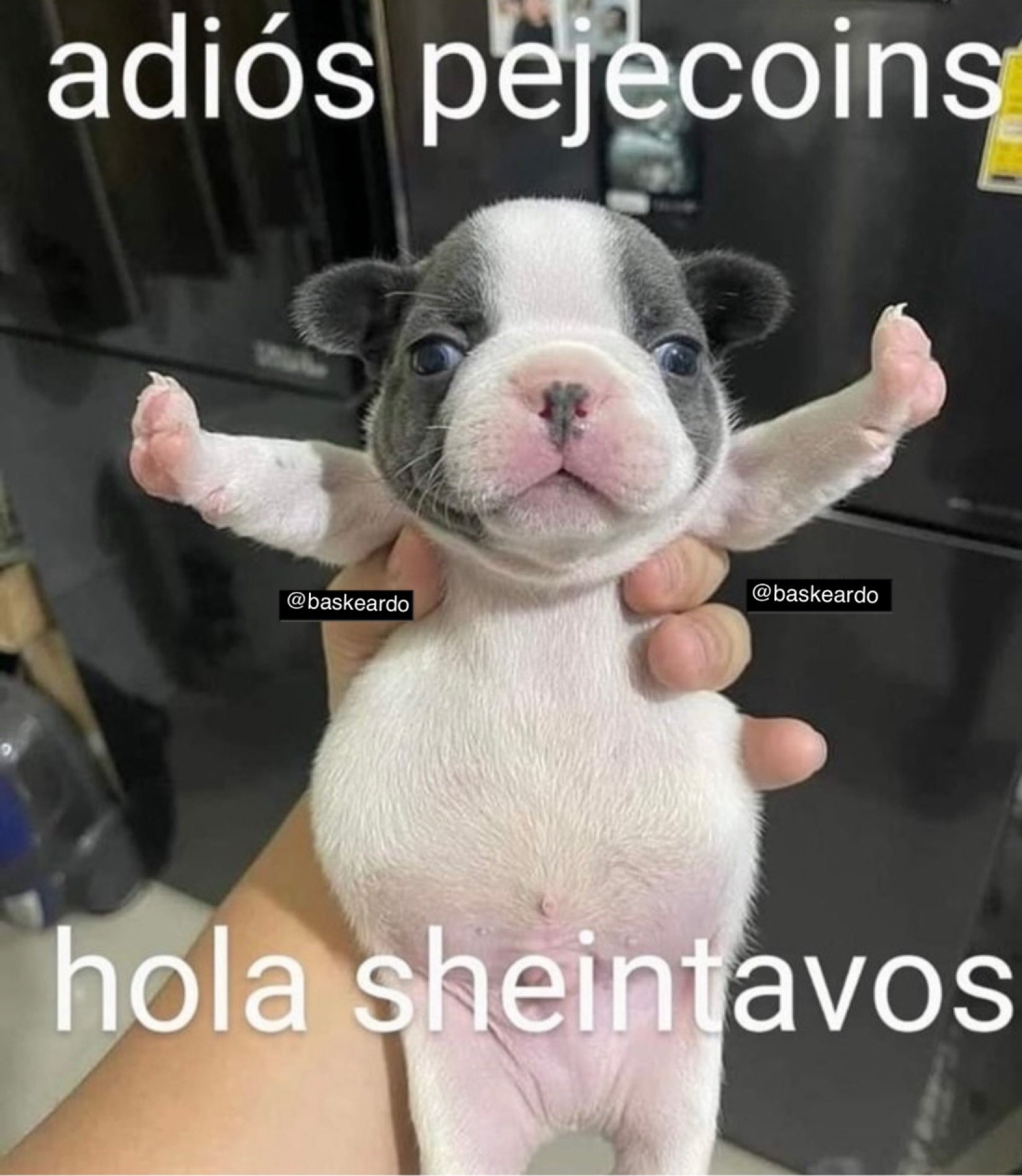 Los mejores memes de la toma de protesta de Claudia Sheinbaum como ...