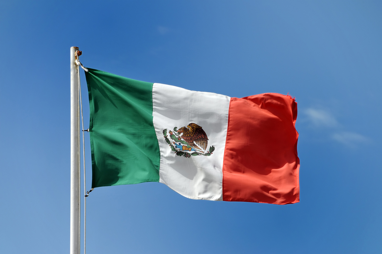 Representan Sus Colores Bandera Mexicana 24 De Febrero: Día De La