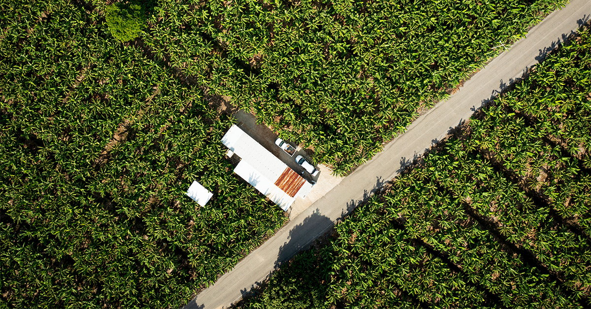 Fundación PepsiCo México: 10 años alimentando el cambio en las ...