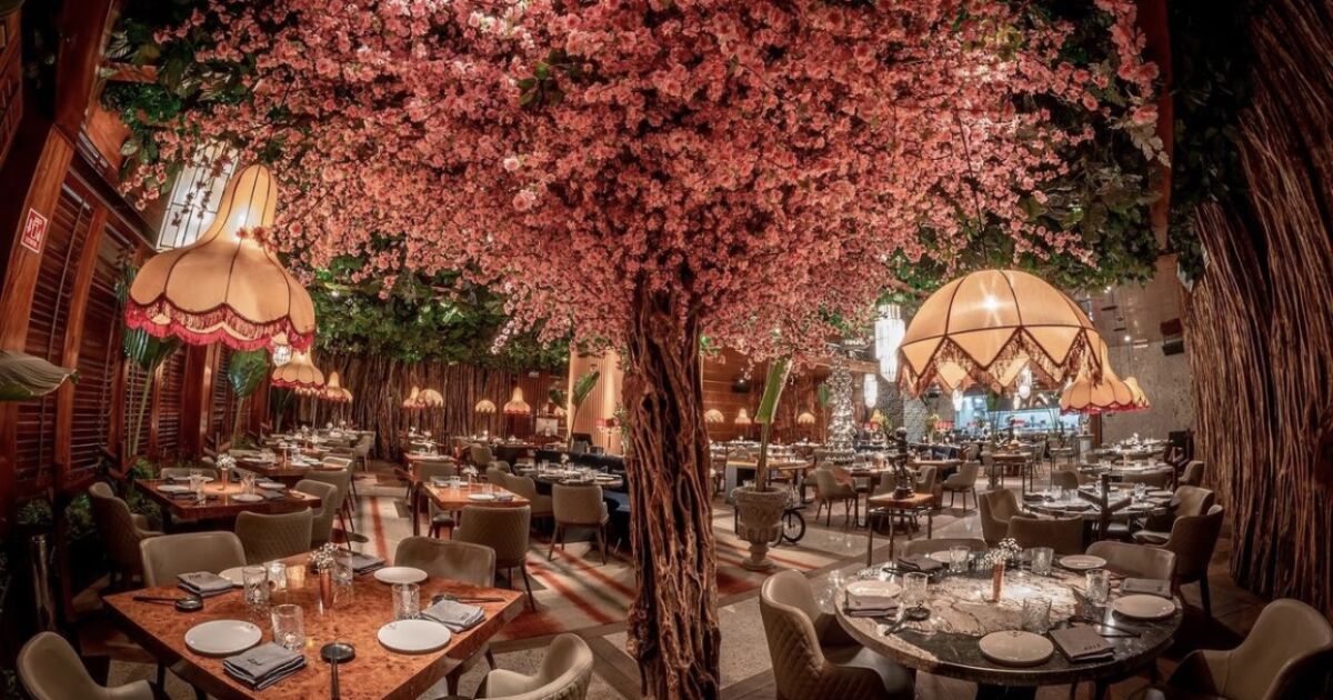 Azia Guadalajara: el lugar perfecto para una cena japonesa