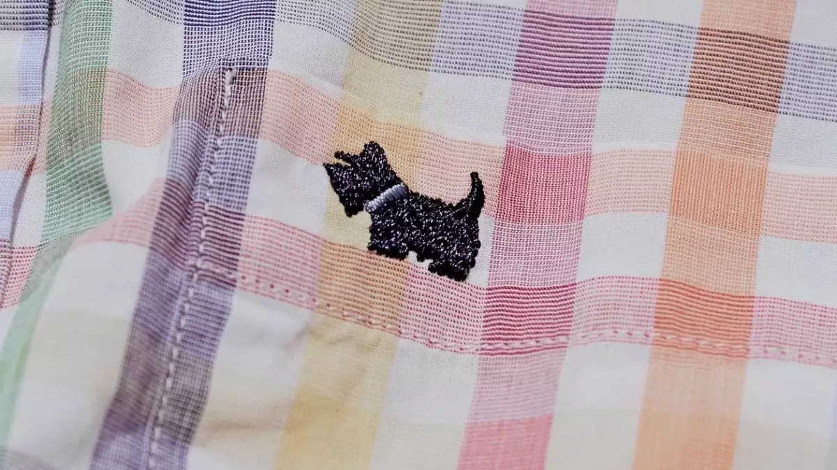 ¿Quién es el dueño de Ferrioni, la marca del perro terrier que no es ...