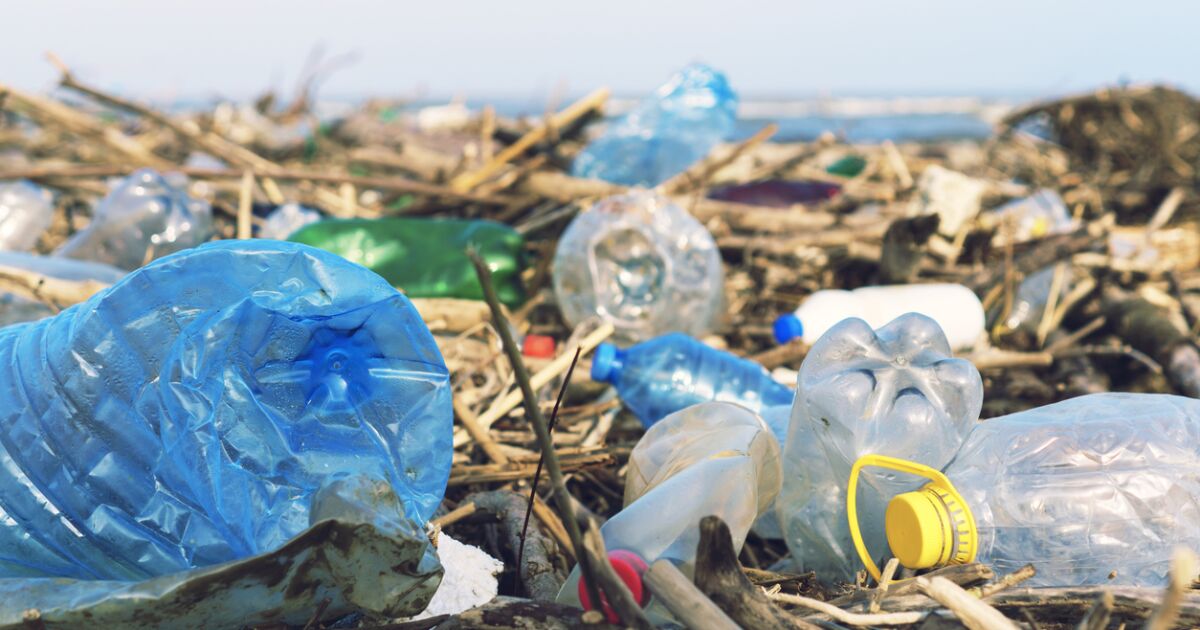 Circulate Capital busca impulsar la economía circular invirtiendo en ...