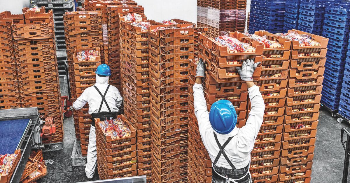 Bimbo compra Vel Pitar y llega a Rumania