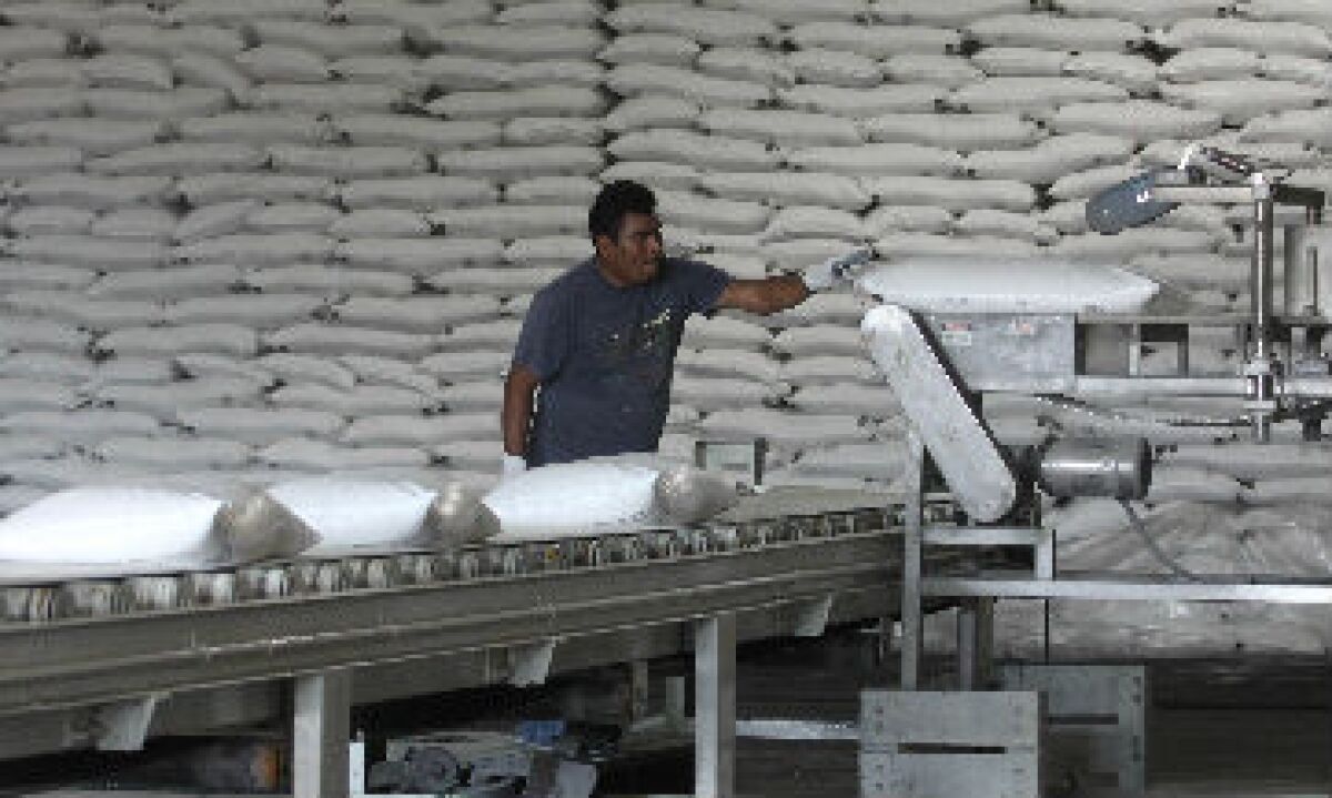 México es el 7o productor de caña de azúcar a nivel mundial