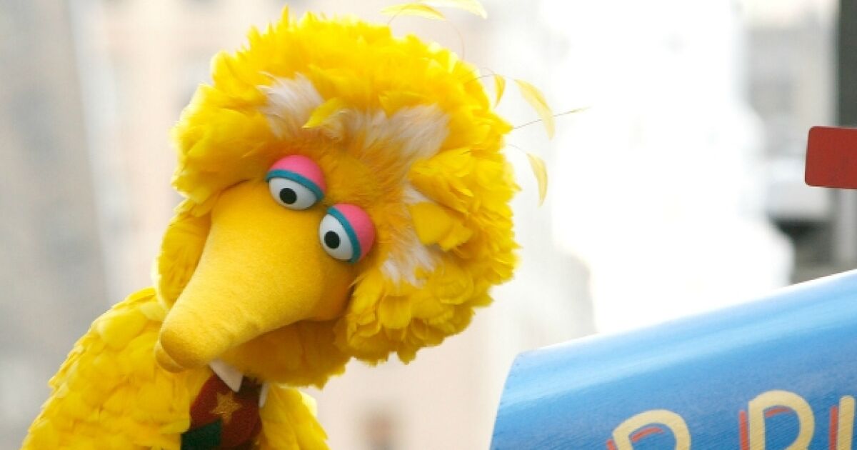 La conmovedora historia de Big Bird y la llamada a su amigo Joey