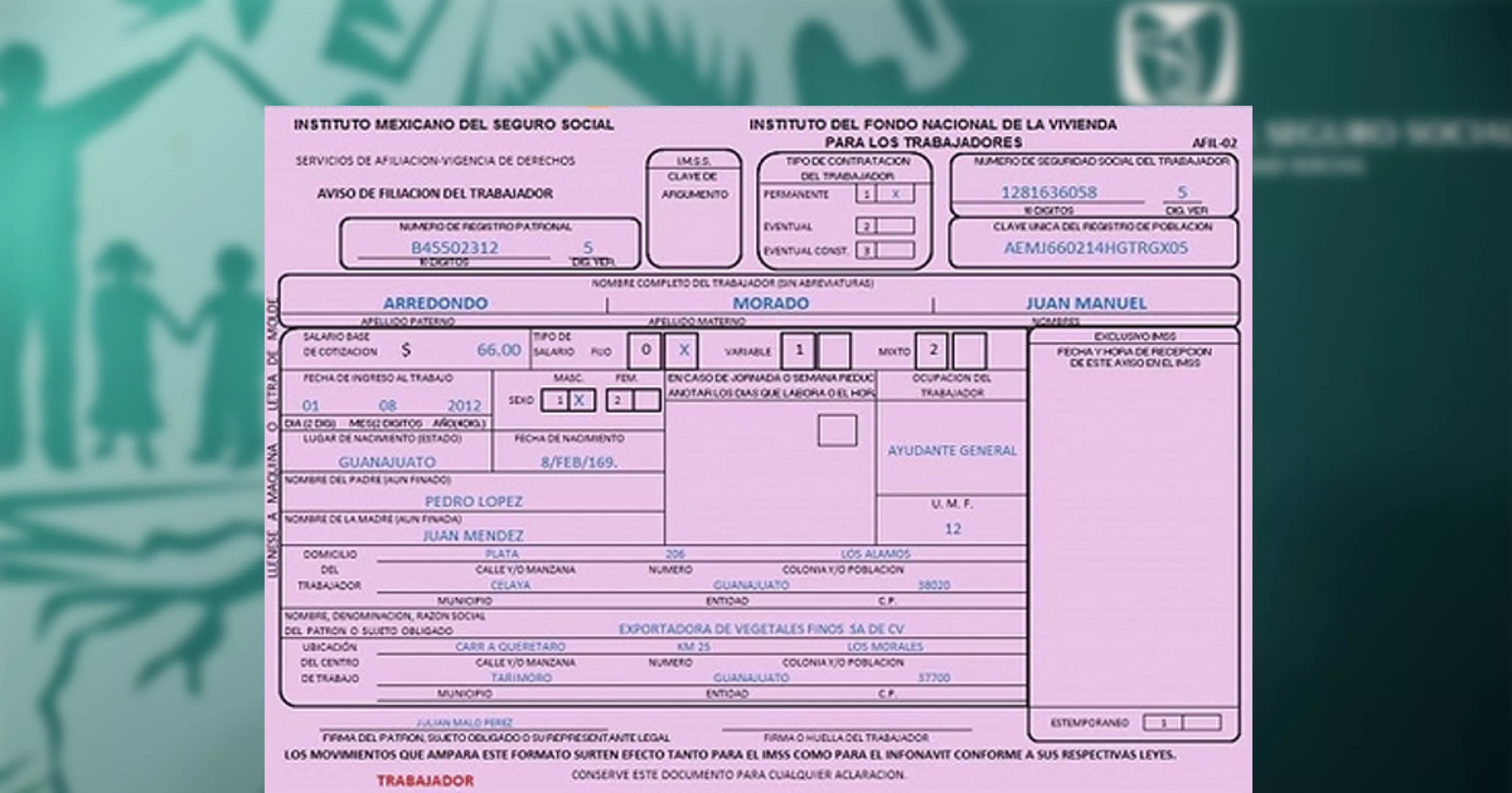 ¿Qué es la hoja rosa del IMSS, para qué sirve y cómo se tramita?