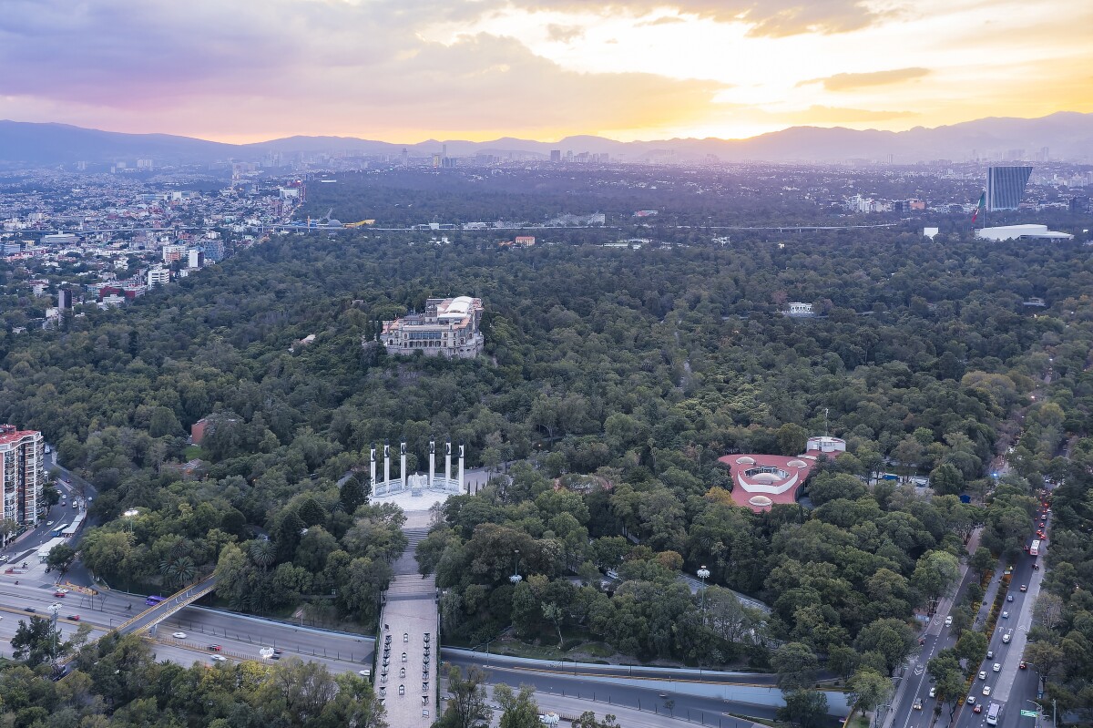 bosque de chapultepec