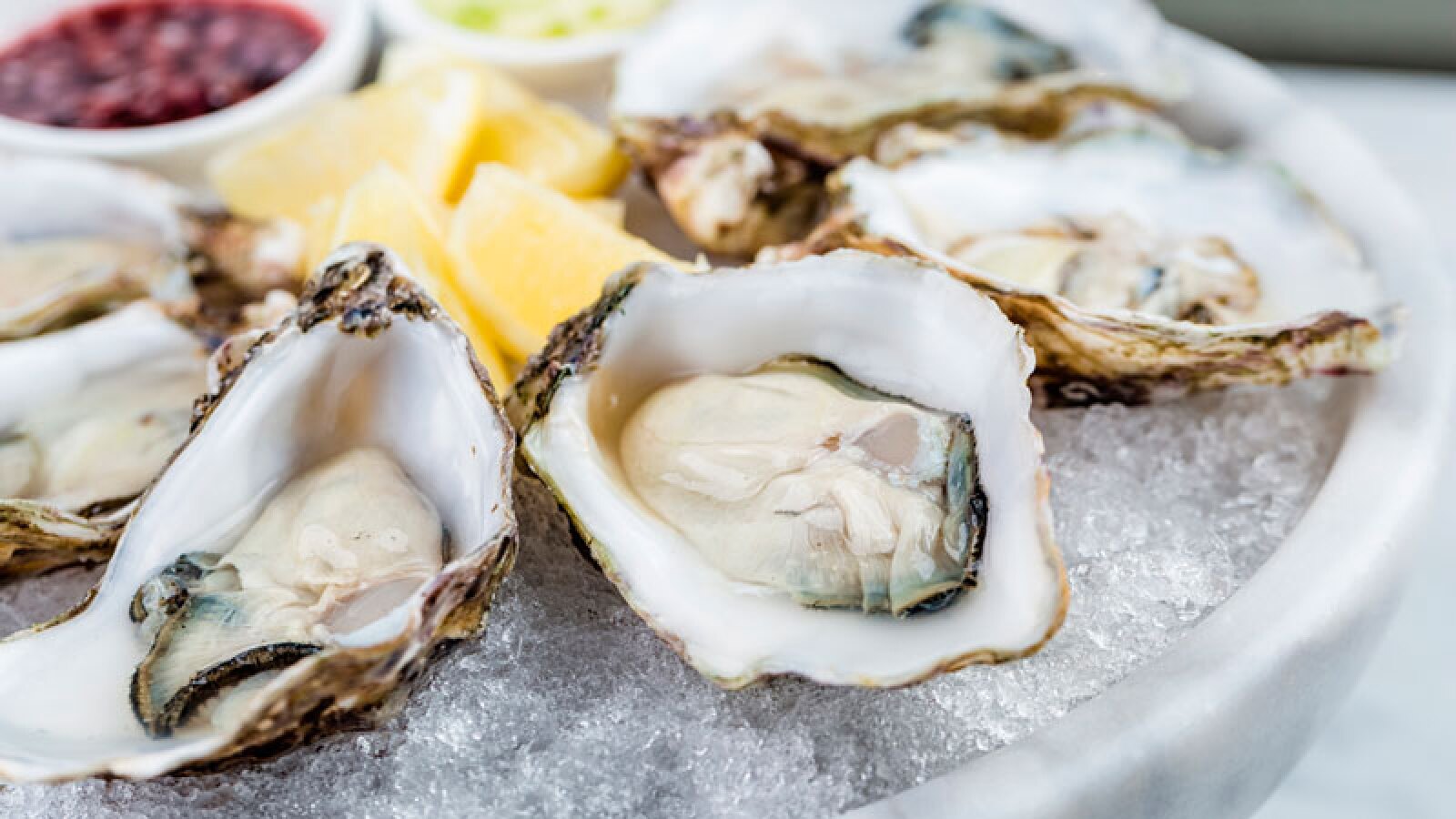 Guía para conocer, elegir y amar los ostiones