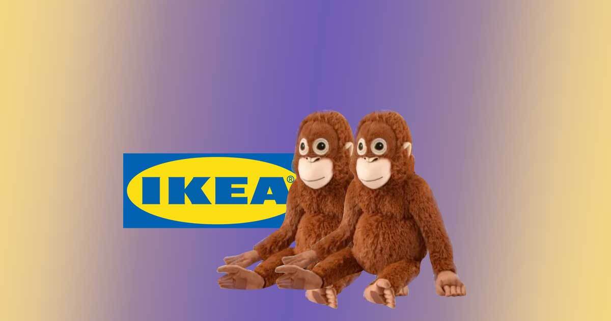 La changuita del meme de "ayno" originalmente es de ¡IKEA! y puedes ...