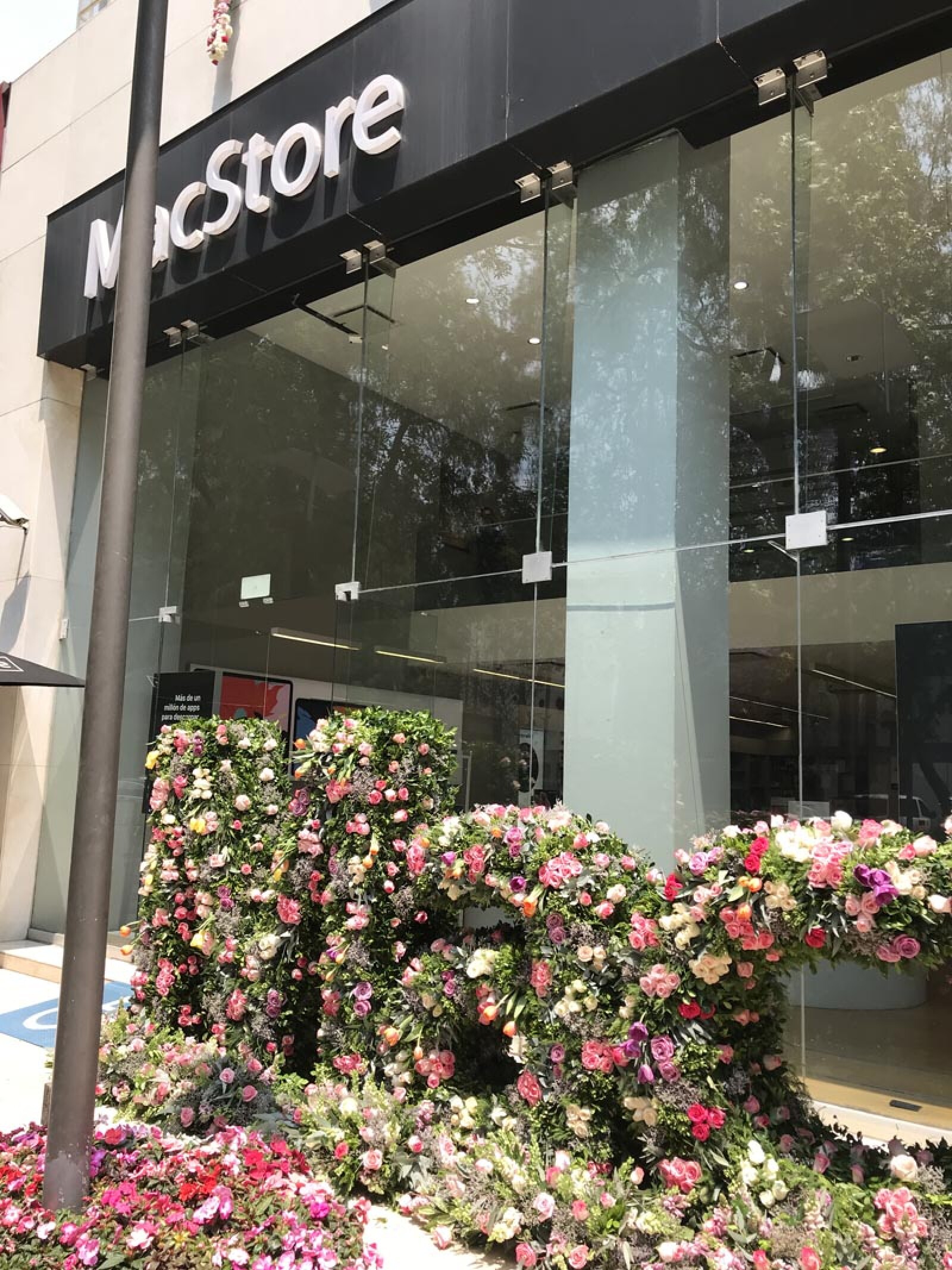 Polanco en flores. Así se ve el festival de flores y jardines 2019