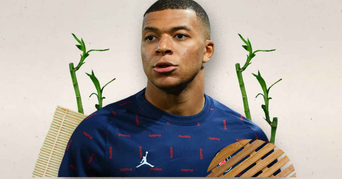 Kylian Mbappé apadrinará una bebé panda nacida en un zoo francés