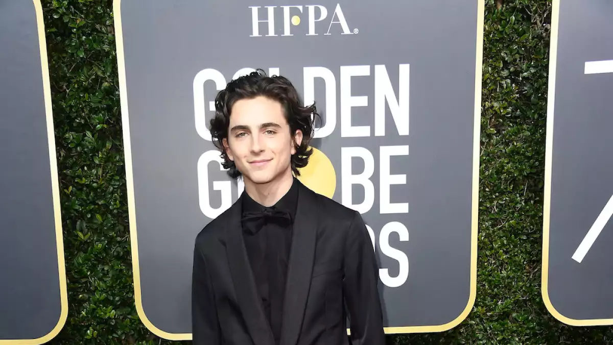 Evolución de estilo de Timothée Chalamet