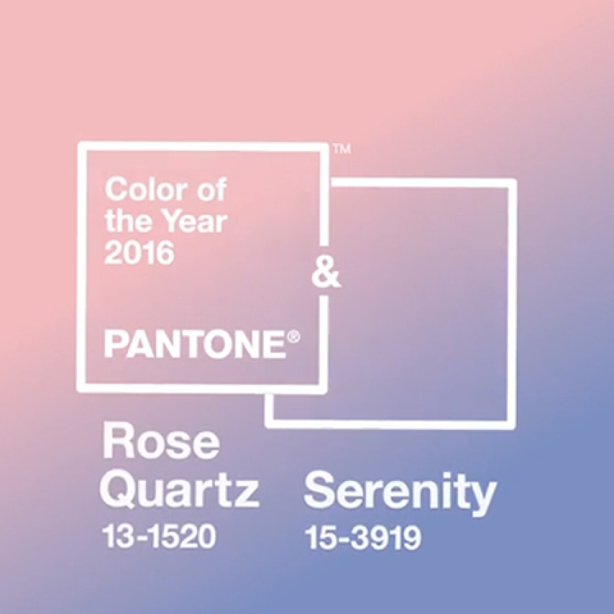 ¿Quién y cómo se decide cuál será el nuevo color del año?