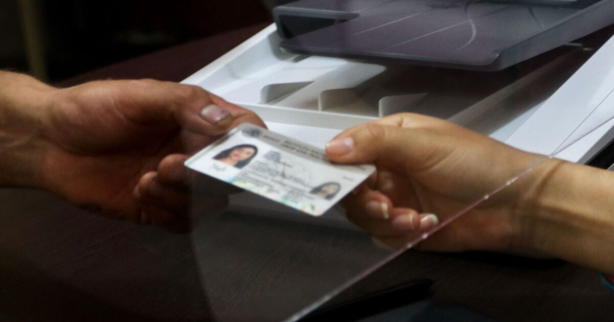 Cómo reportar el robo de tu INE para evitar robo de identidad