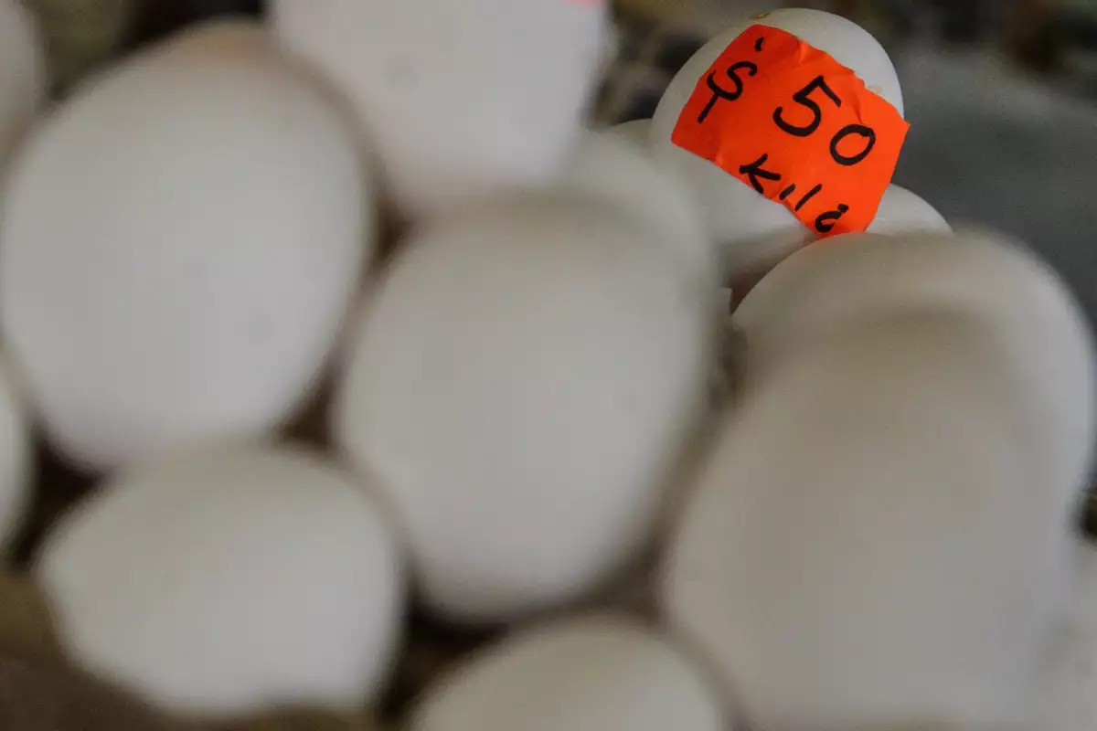 ¿por Qué Está Subiendo El Precio Del Huevo En México