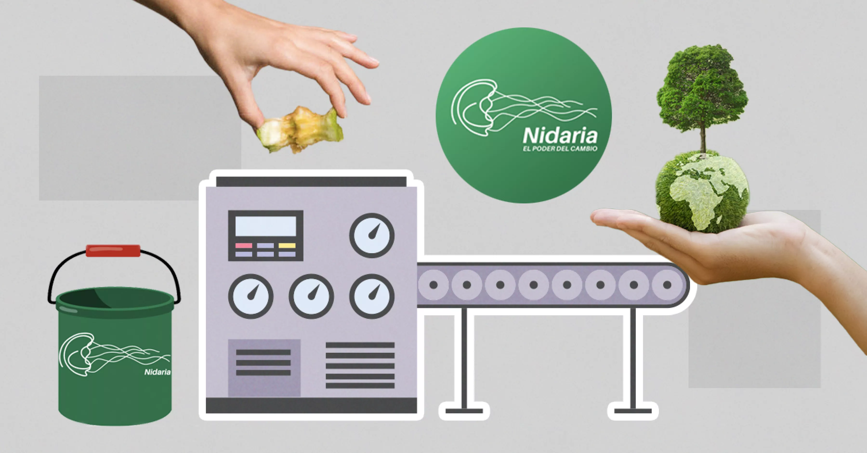 ¿Cómo la startup mexicana Nidaria transforma los desechos en comida ...