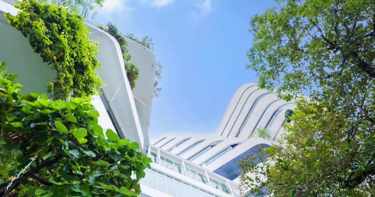 ASG: que son estos criterios y qué significan sus siglas