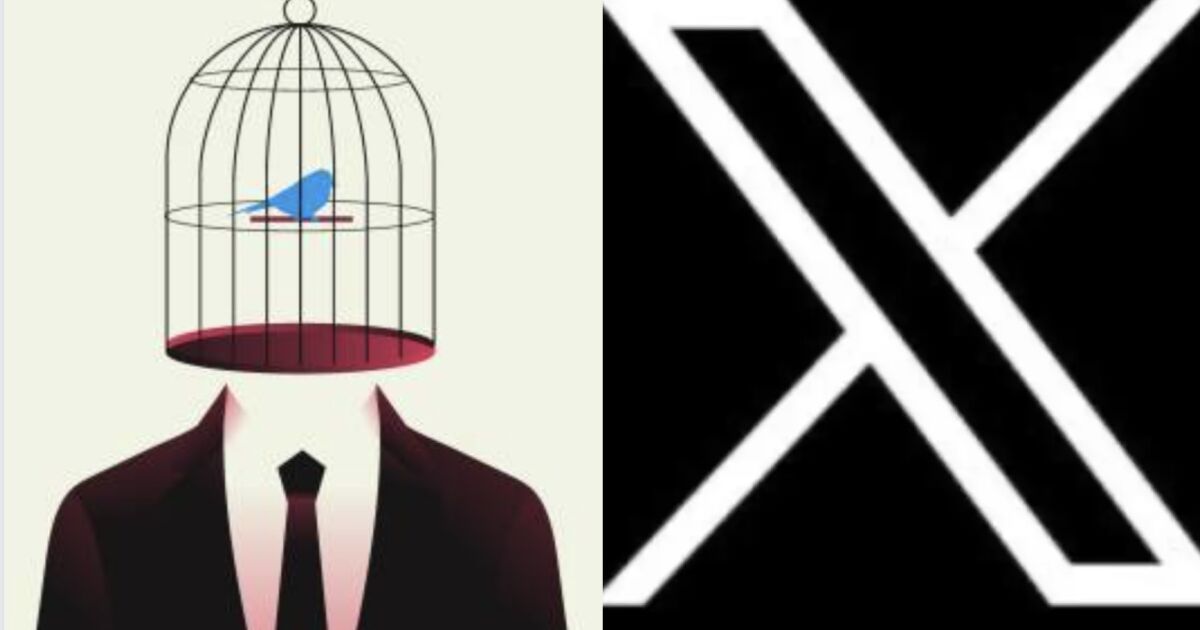 ¿Por qué Twitter cambió de nombre a X? Esto opinan los especialistas ...