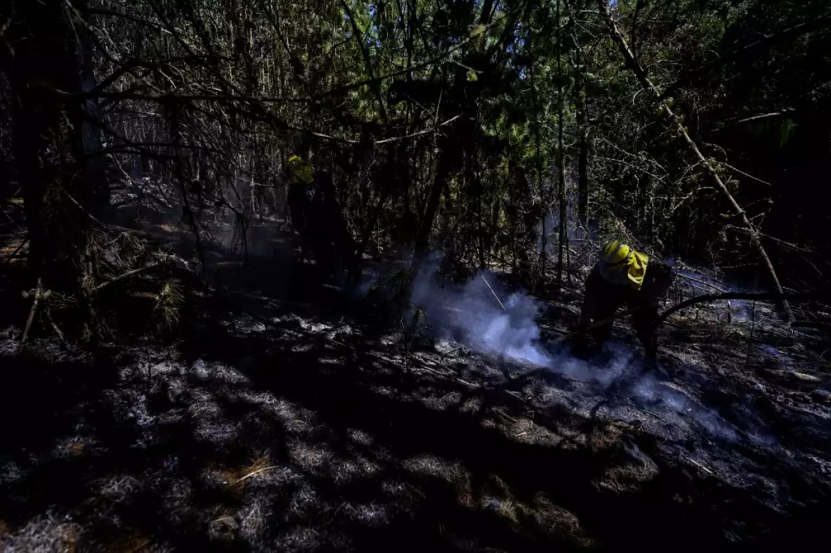 En Colombia imparables los 34 incendios forestales que arrasan con ...