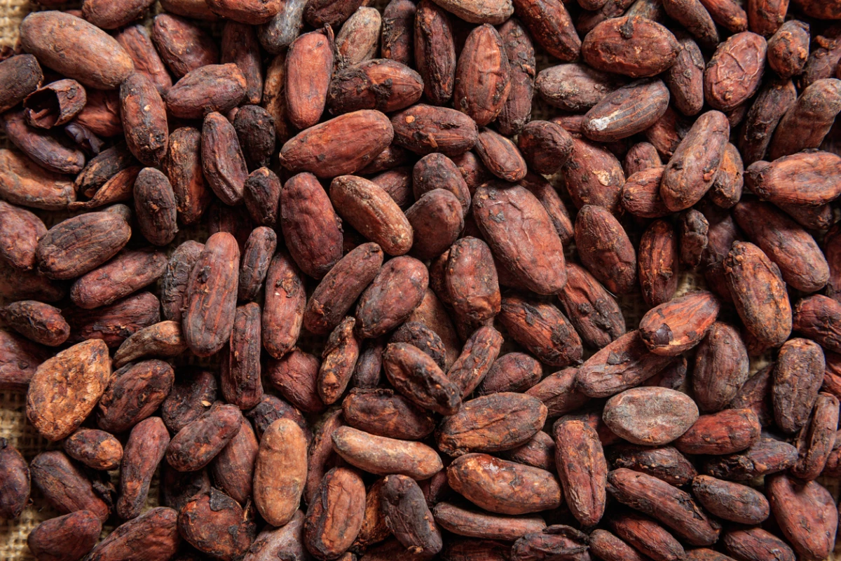 Ocho beneficios del cacao que no conocías