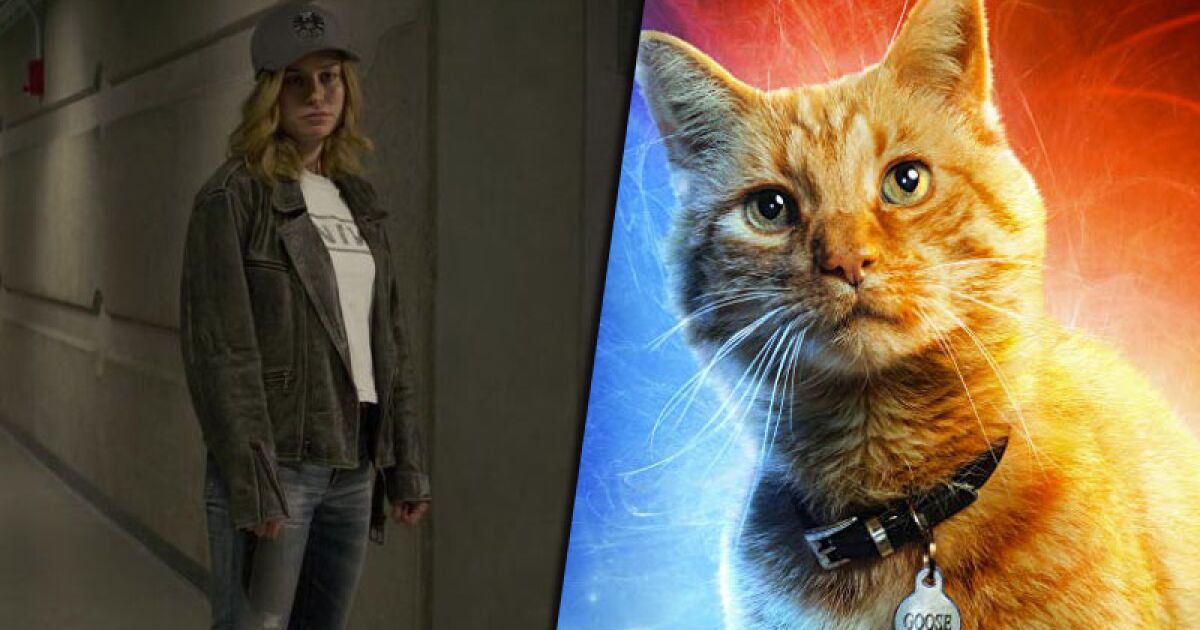 ¿Quién es el misterioso gato de Captain Marvel?