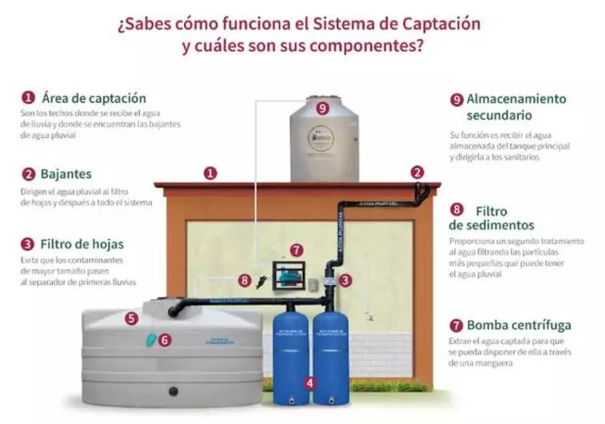 Captación de agua de lluvia paso a paso y sus beneficios