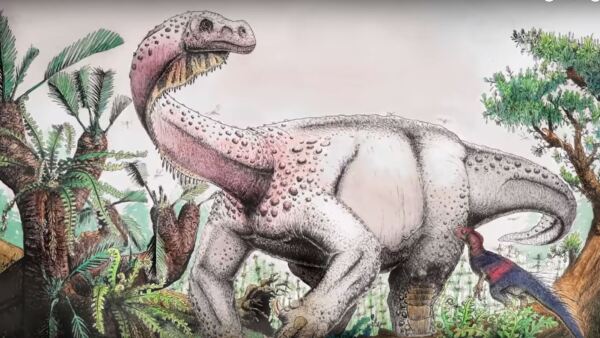 Conoce a Scotty, el Tiranosaurio rex más grande jamás descubierto