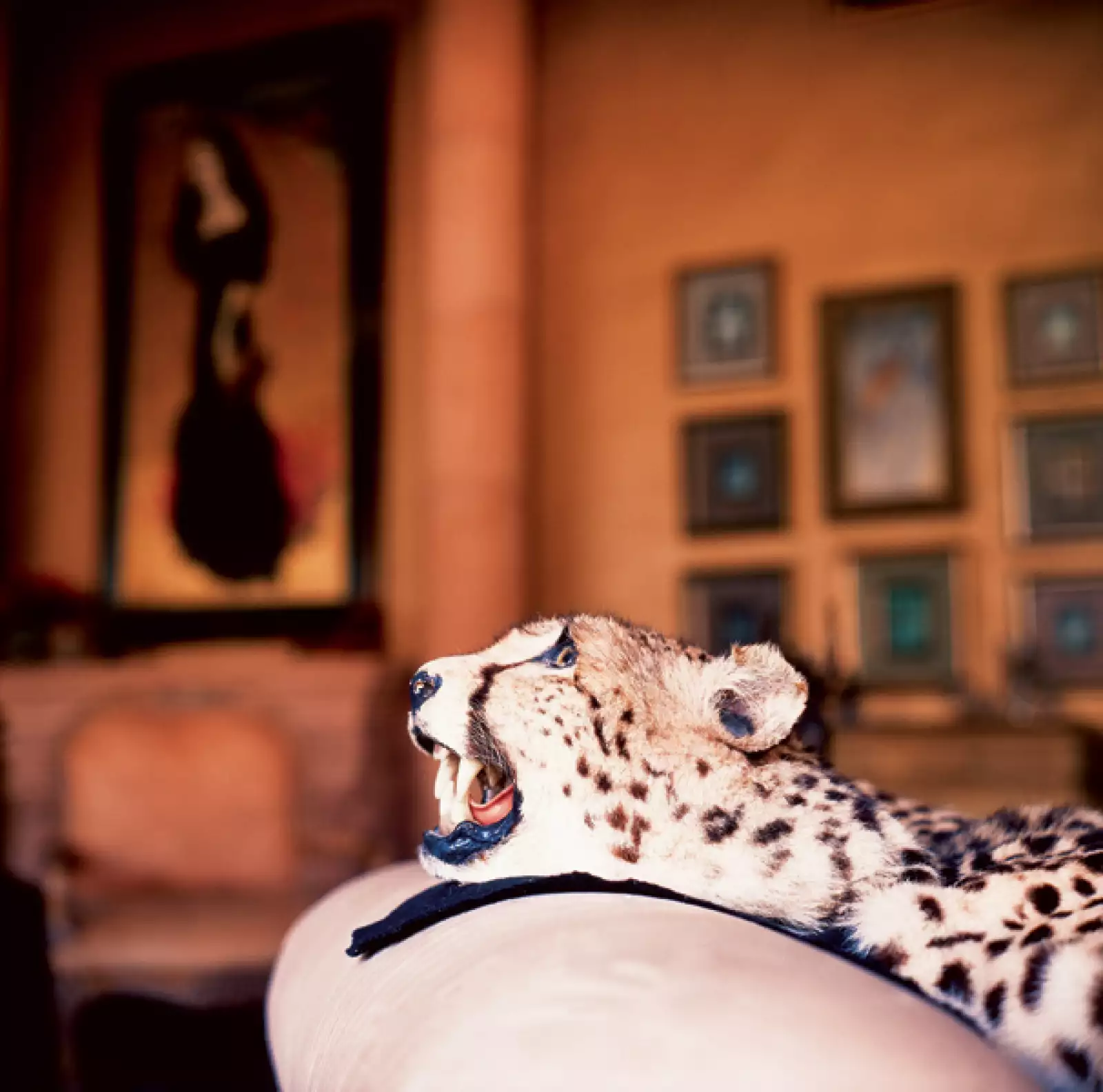 El Zoo de los Hank en Tijuana