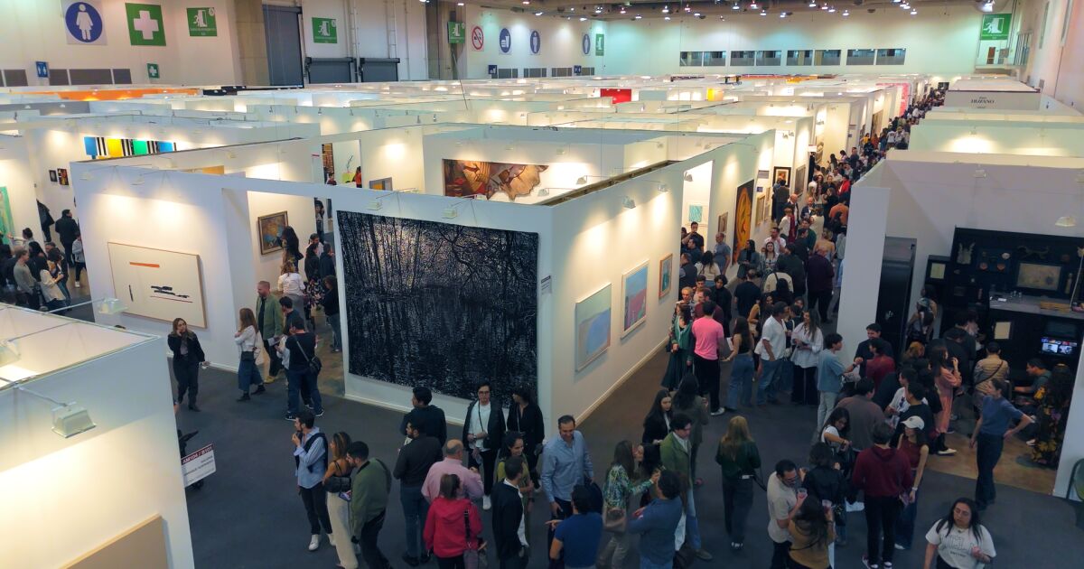 Zona Maco 2026: claves y highlights de la feria de arte más importante ...