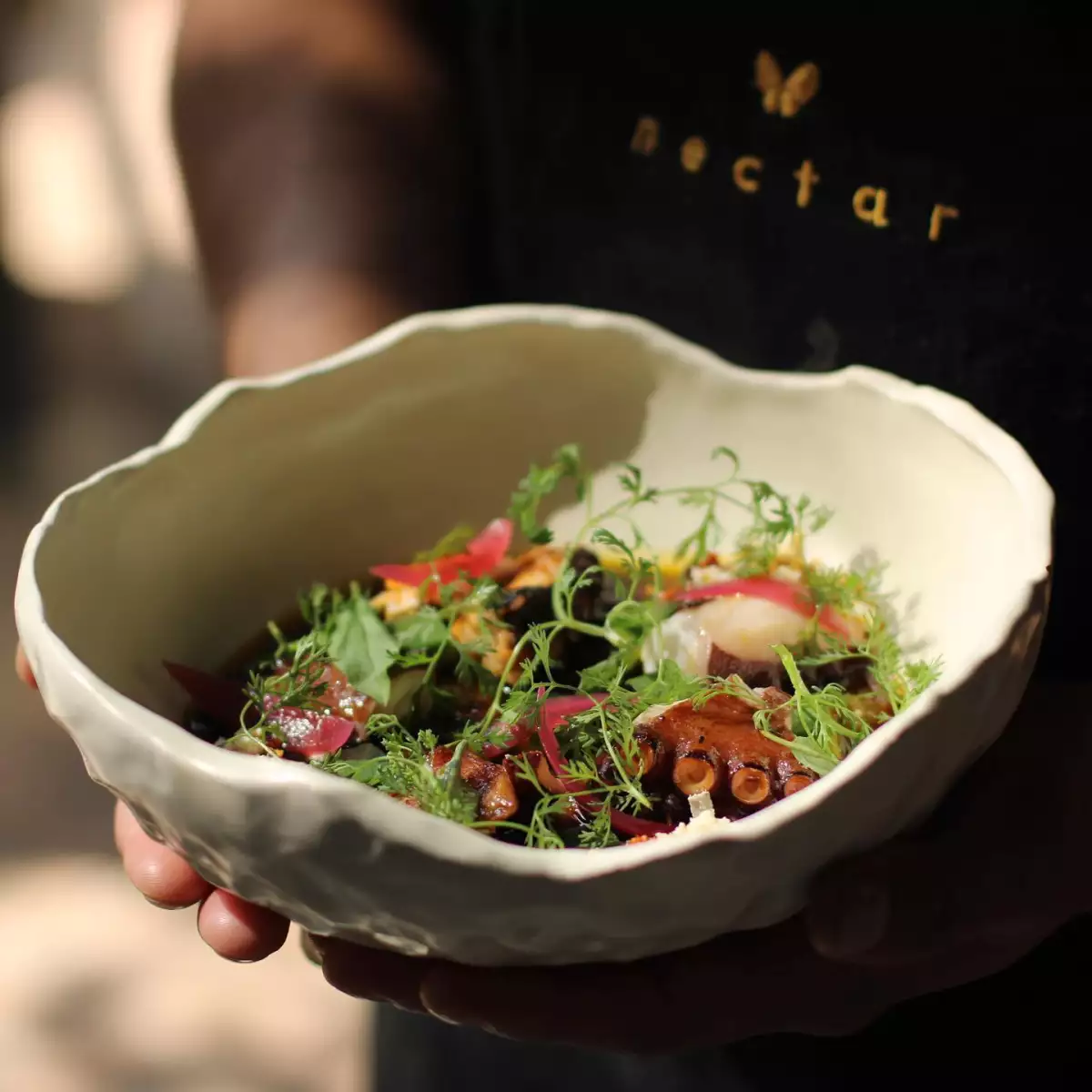 Dime a dónde vas y te digo dónde comer en los mejores destinos de México