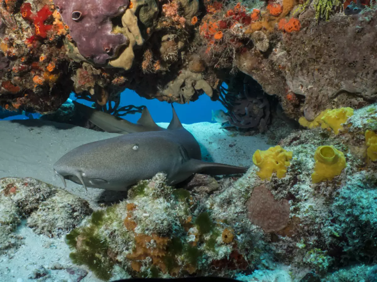 Encuentra la calma en el Caribe Mexicano