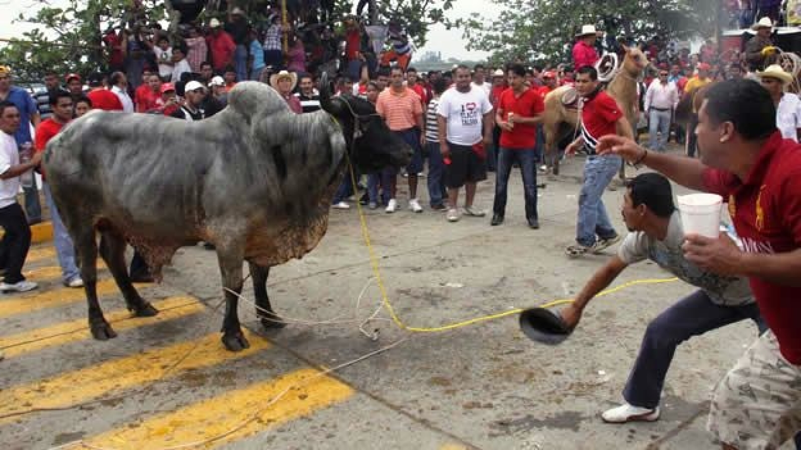La festividad de La Candelaria en Veracruz comienza con el 'embalse de ...