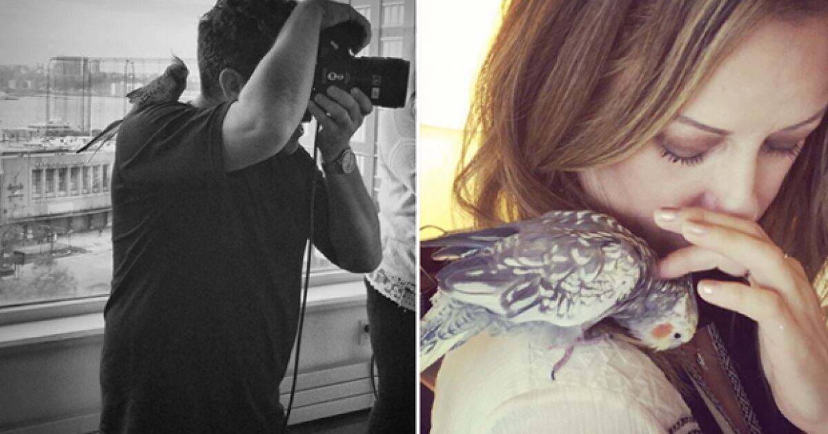 Este es el nuevo amor de Thalía