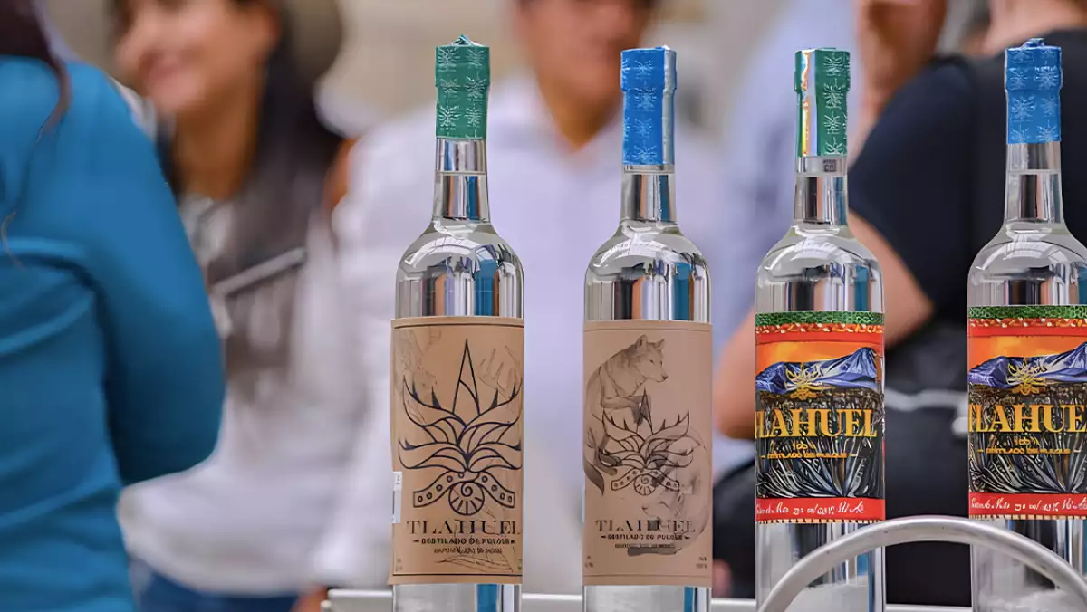 De actor a empresario: la historia detrás del tequila de Diego Boneta