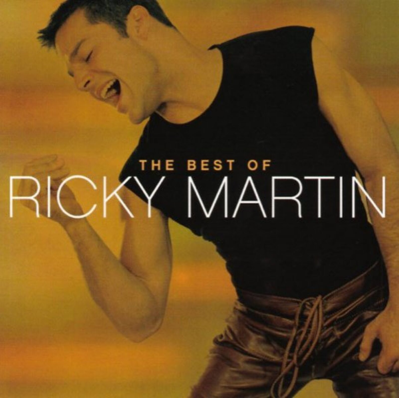 La discografía de Ricky Martin