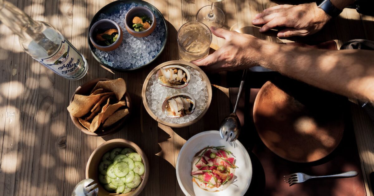 Dime a dónde vas y te digo dónde comer en los mejores destinos de México