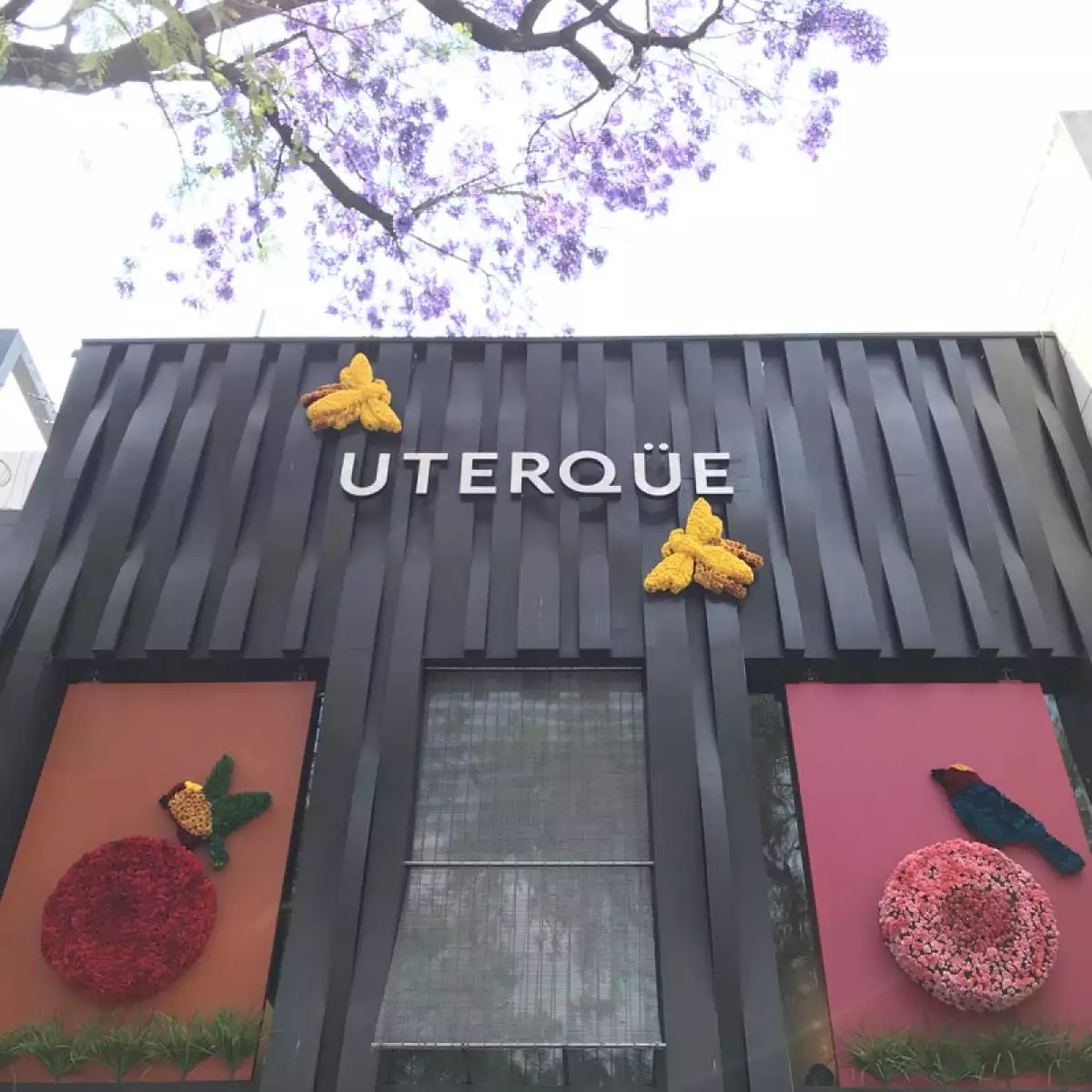 Polanco en flores. Así se ve el festival de flores y jardines 2019