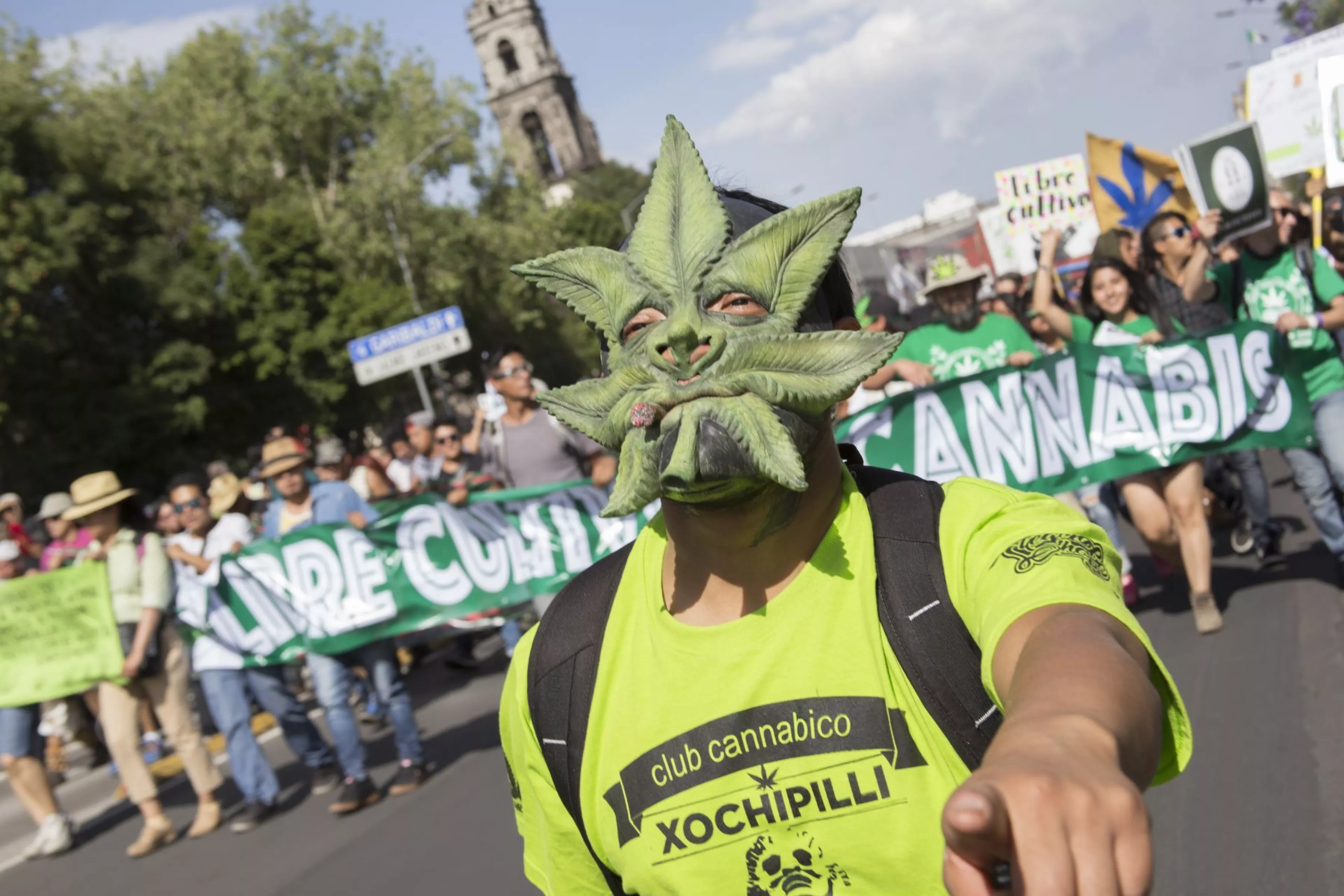 ¿Cuántos gramos de marihuana están permitidos para portar en México?