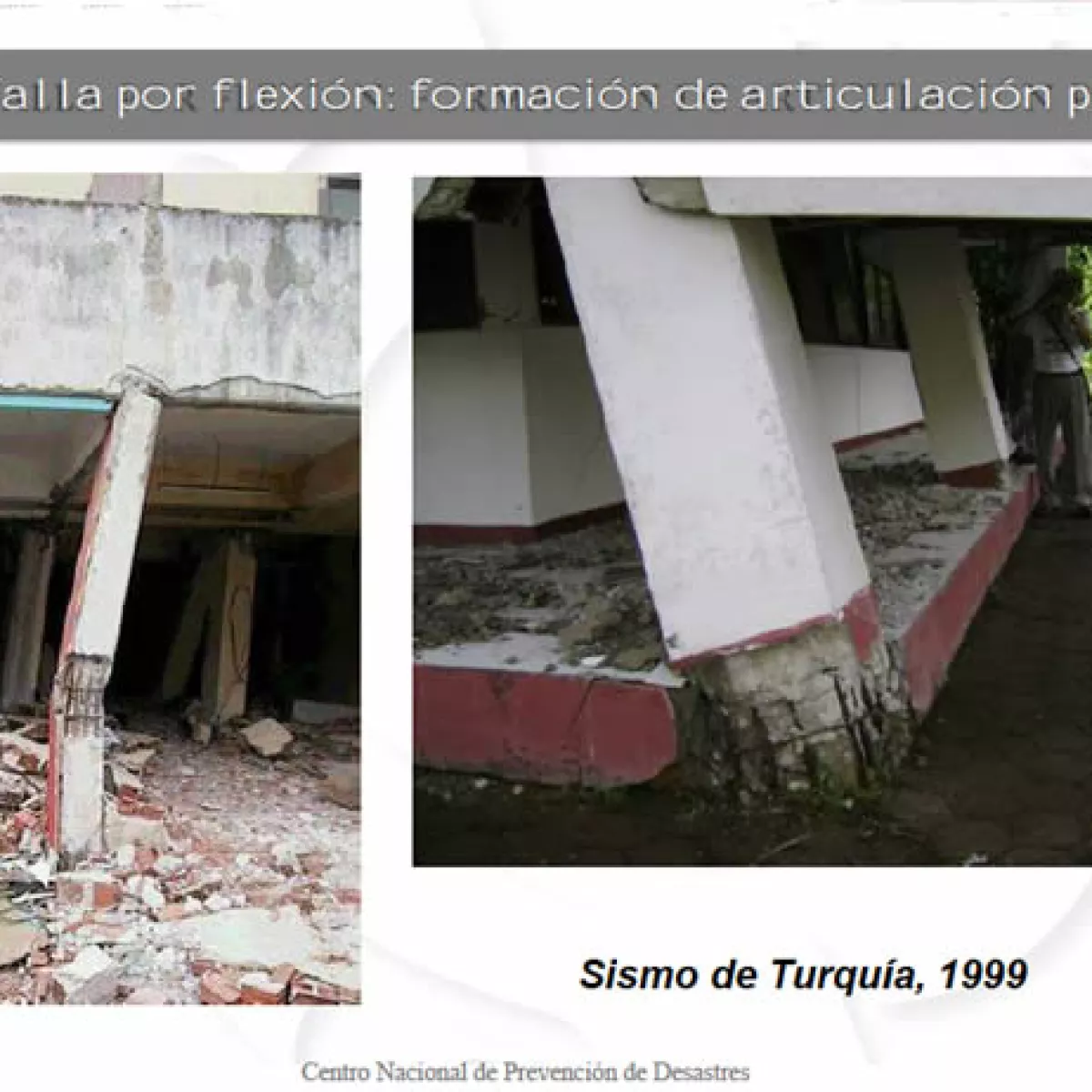 Fallas estructurales en columnas que debes identificar