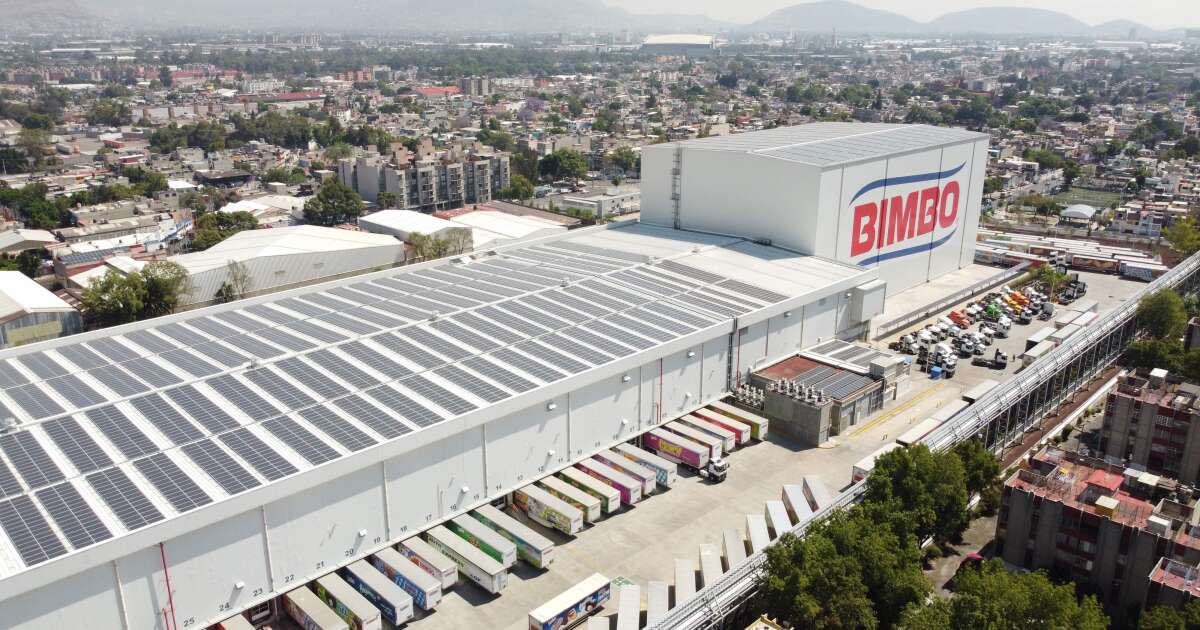 Grupo Bimbo: récord de ventas netas por más de 408,000 millones de pesos en 2024