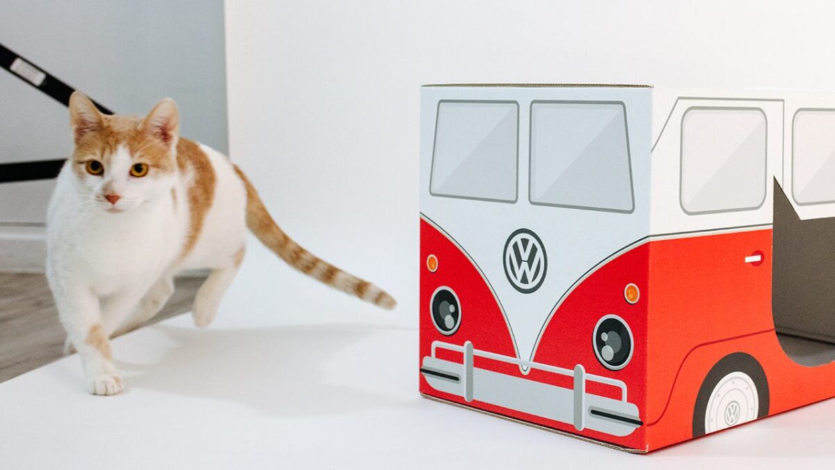 Volkswagen lanza el Camper Cat, un 'vehículo' diseñado especialmente ...