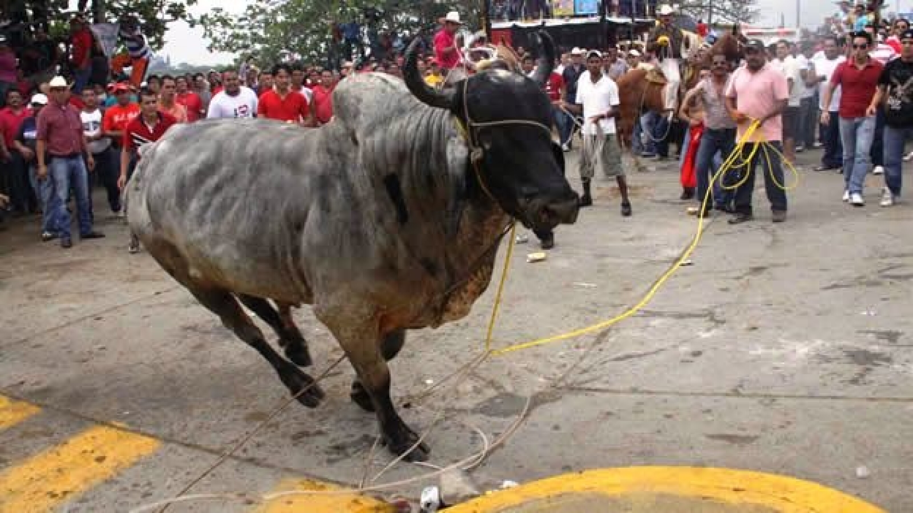 La festividad de La Candelaria en Veracruz comienza con el 'embalse de ...