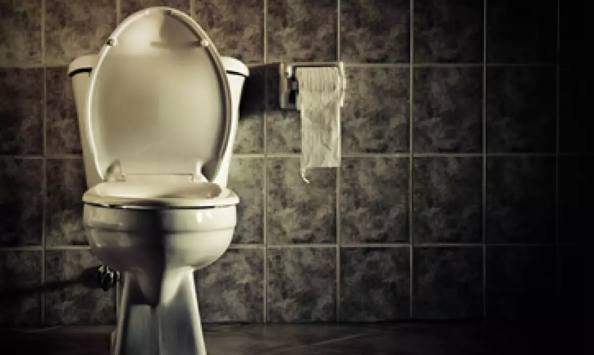 La innovación más antigua: tu retrete