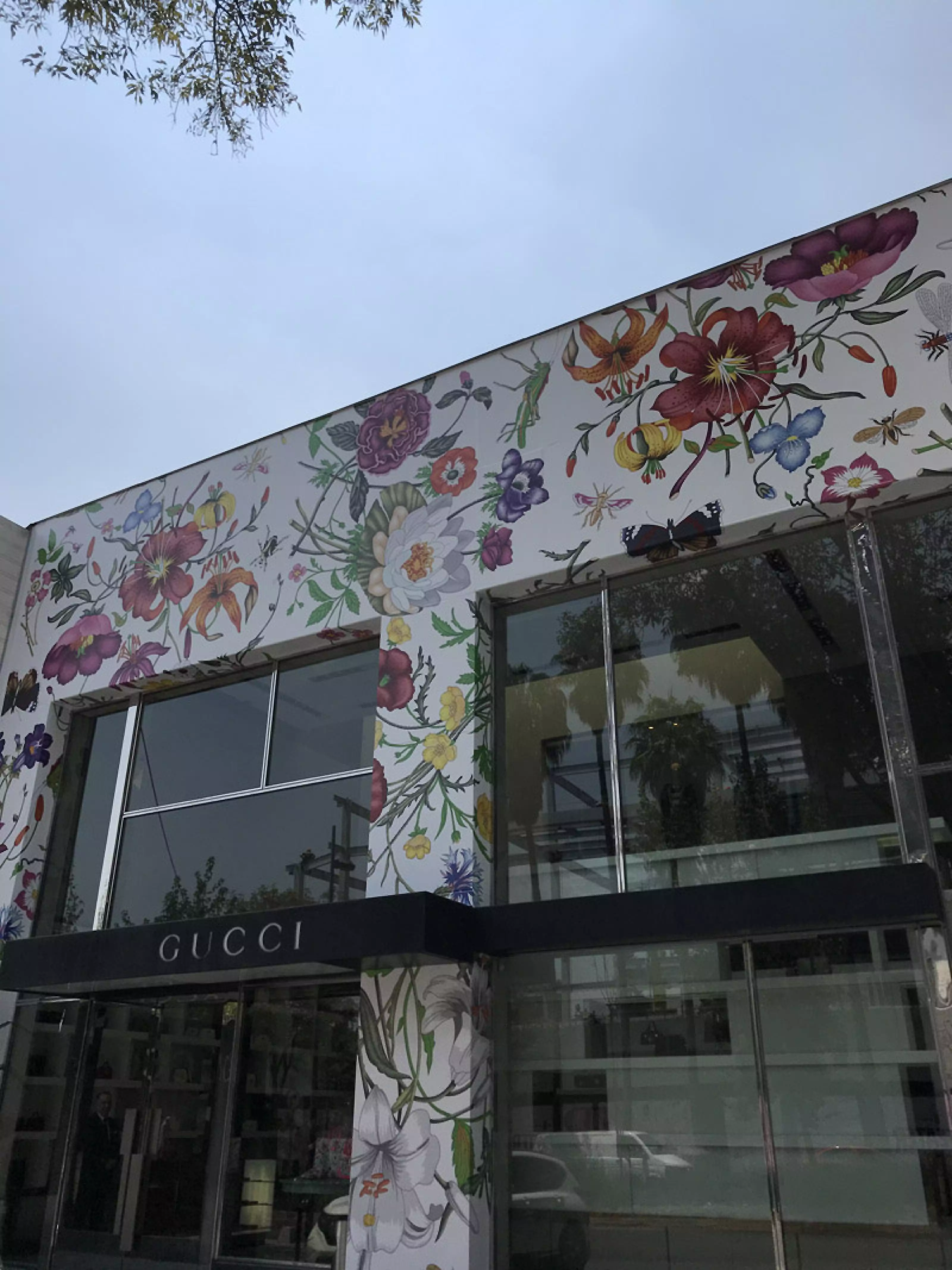 Polanco en flores. Así se ve el festival de flores y jardines 2019