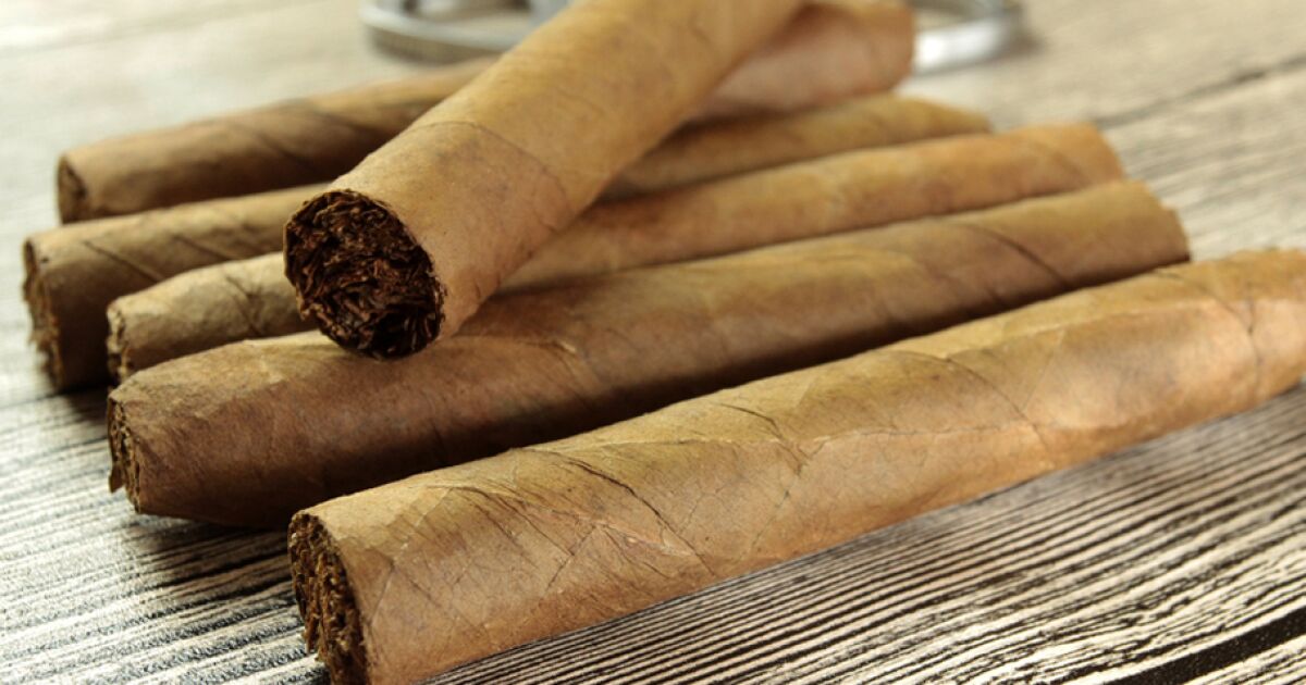 Conoce el proceso manual de elaboración de un habano