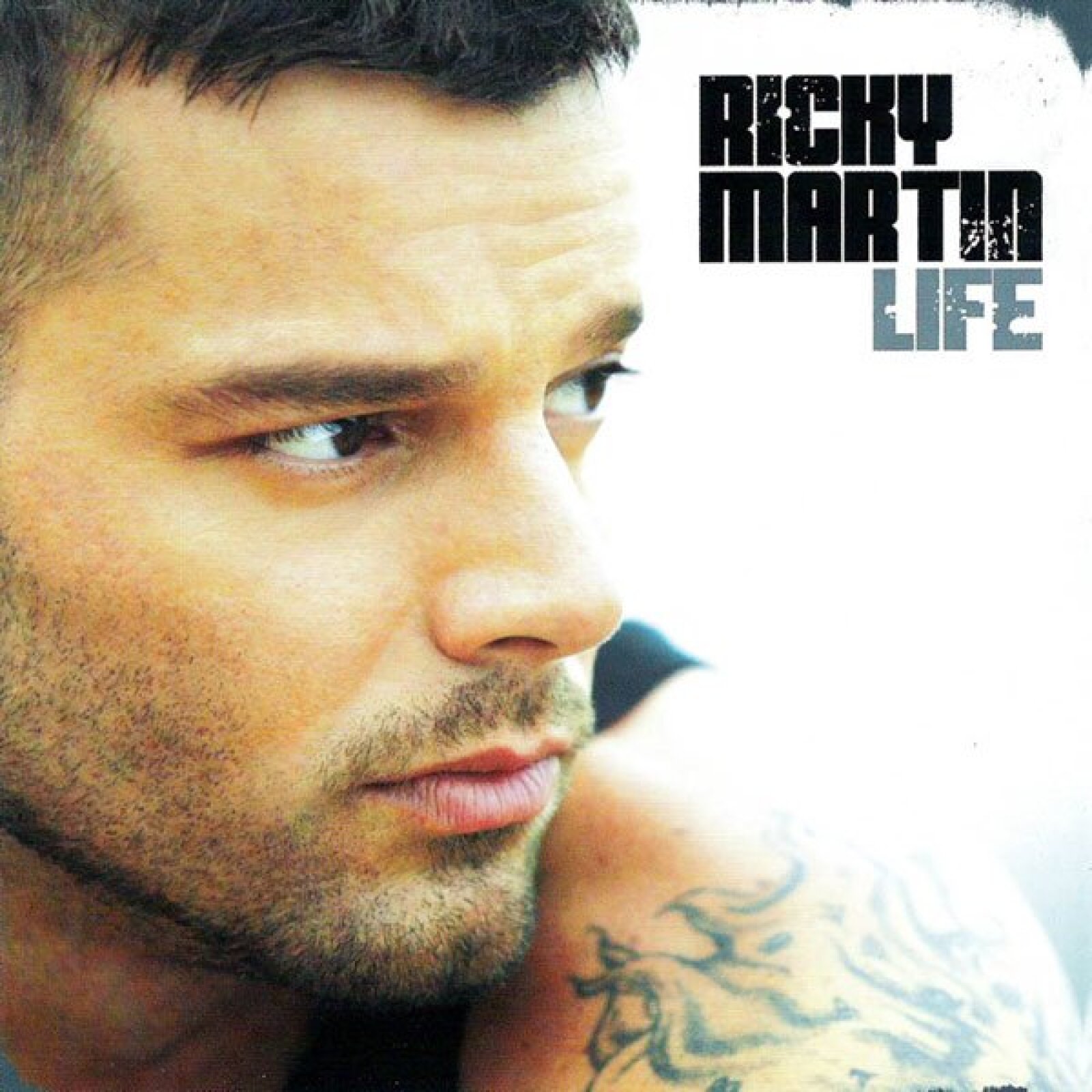 La discografía de Ricky Martin