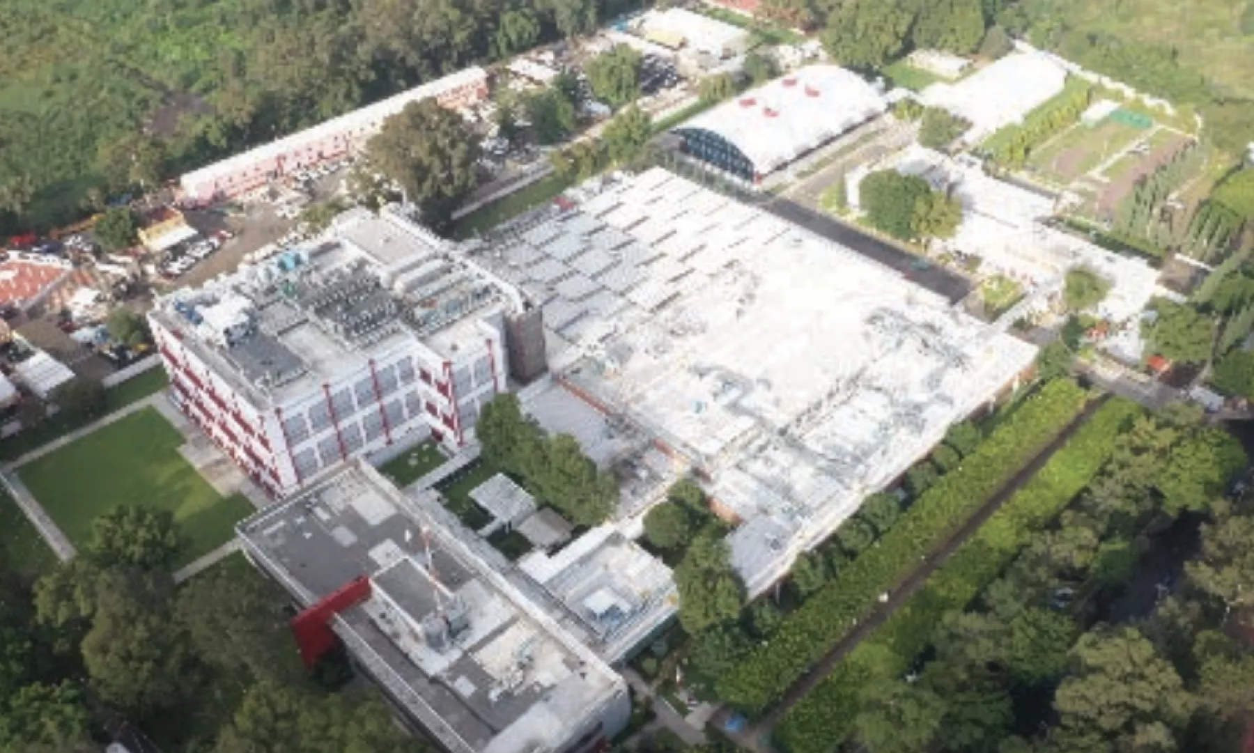 Organon México se abre a la tercerización