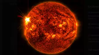 "Ruffilio ya no regresa": Ruffles despide a su mascota para promover la ...