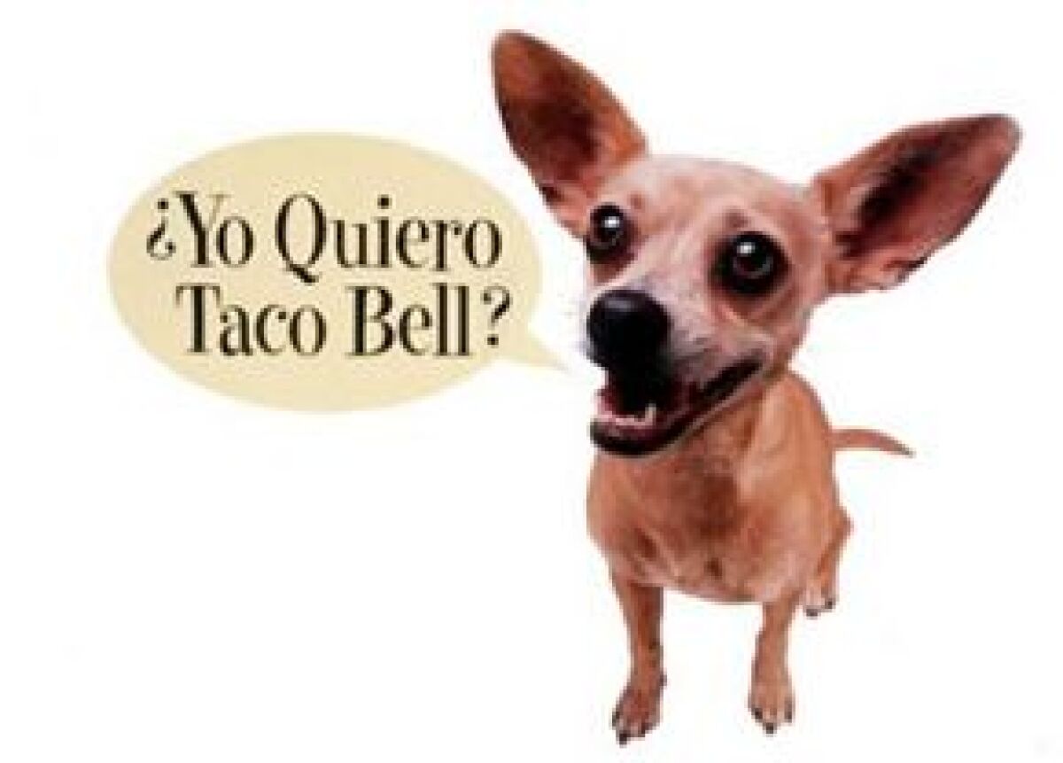 Muere perrita de los anuncios de Taco Bell
