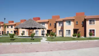 Consorcio Ara creció a doble dígito en los ingresos de su reporte ...